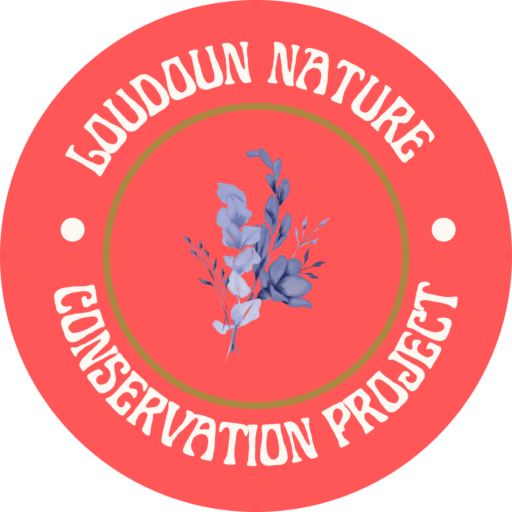 Loudoun Nature Conservation Project